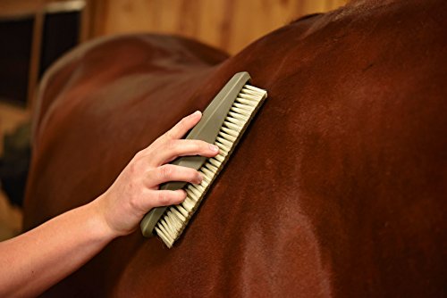 WAHL Professional Animal Equine Soft Body Horse Brush, Black (858704)