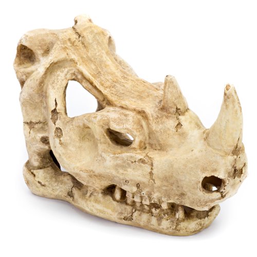 Penn-Plax Rhino Skull Aquarium Decoration Aged Skull Decor