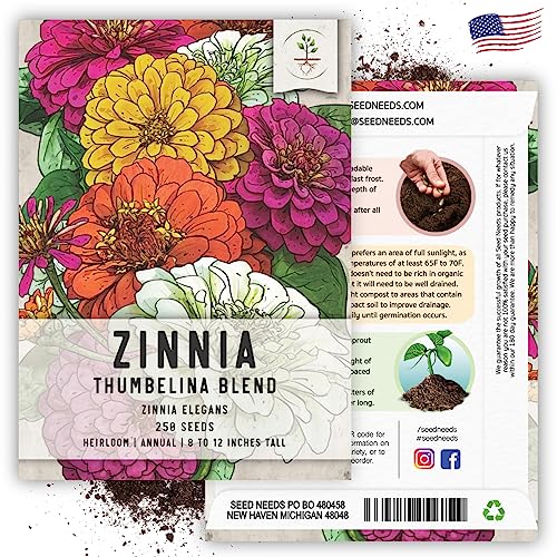 Seed Needs, Mixture of Thumbelina Zinnia Seeds for Planting (Zinnia elegans) Heirloom & Open Pollinated - Perfect for Cut Flowers (2 Packs)