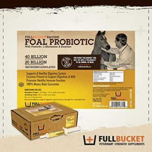 FullBucket Foal Probiotic Paste (Single)