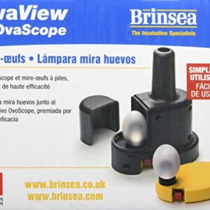 Brinsea Products Egg Scope for Monitoring The Development of The Embryo within The Egg