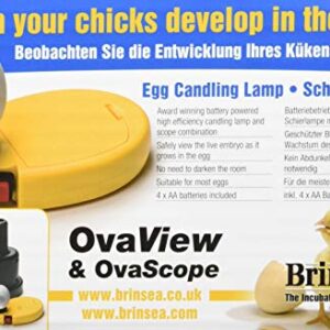 Brinsea Products Egg Scope for Monitoring The Development of The Embryo within The Egg