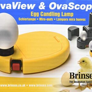 Brinsea Products Egg Scope for Monitoring The Development of The Embryo within The Egg