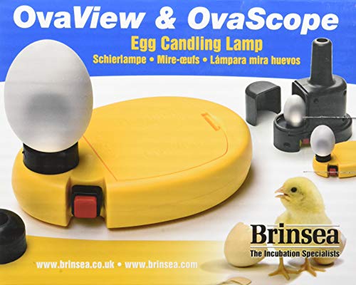 Brinsea Products Egg Scope for Monitoring The Development of The Embryo within The Egg