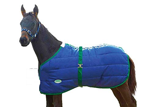 WeatherBeeta 420D Foal Standard Neck Medium, Navy/Hunter, 28"-42"