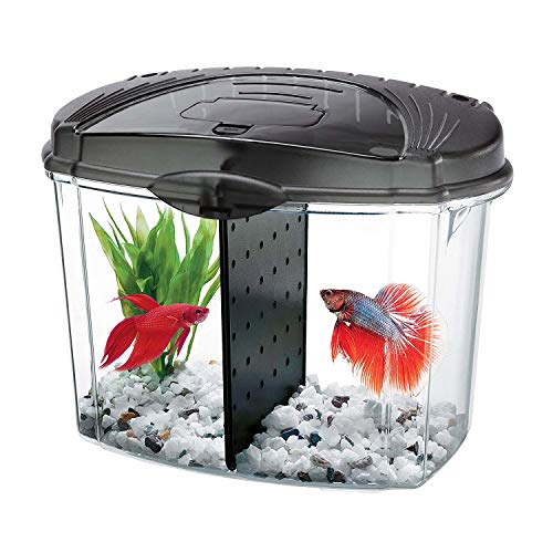 Aqueon Betta Bowl Aquarium Fish Tank Kit, Black, Half Gallon