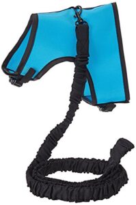 superpet (pets international) ssr62295 comfort harness and stretchy stroller leash/collar/leads for small animals, x-large(colors vary)