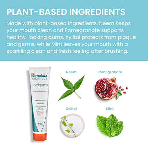 Himalaya Botanique Neem & Pomegranate Toothpaste, Original Formula for Brighter Teeth and Fresh Breath, Fluoride Free, 5.29 oz, 2 Pack