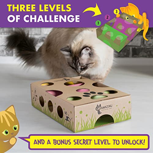 Cat Amazing Classic – Cat Puzzle Feeder – Interactive Enrichment Toy – Cat Treat Puzzle Box – Food Maze for Indoor Cats – Best Cat Toy Ever!