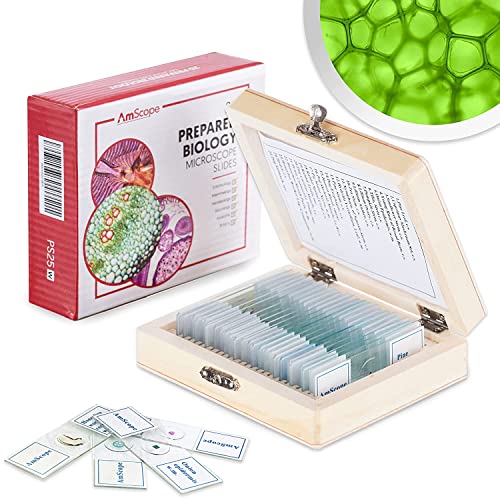 AmScope PS25W Prepared Microscope Slide Set for Basic Biological Science Education, 25 Slides, Includes Fitted Wooden Case