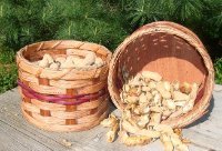 double peanut amish handmade basket one side holds the uncracked peanuts still in the shell other side holds hulls until ready to be discarded in the trash or recycle bin. great idea for any man cave or bar. can also be placed on the coffee table in front