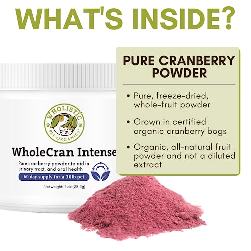 Wholistic Pet Organics WholeCran Intense: Organic Cranberry Powder for Dogs Urinary Tract Support Kidney Support for Dogs UTI Treatment Vitamin C and Antioxidants Dog Incontinence Product