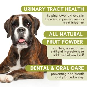 Wholistic Pet Organics WholeCran Intense: Organic Cranberry Powder for Dogs Urinary Tract Support Kidney Support for Dogs UTI Treatment Vitamin C and Antioxidants Dog Incontinence Product