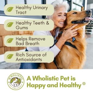 Wholistic Pet Organics WholeCran Intense: Organic Cranberry Powder for Dogs Urinary Tract Support Kidney Support for Dogs UTI Treatment Vitamin C and Antioxidants Dog Incontinence Product