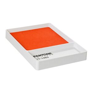 pantone key tray tango-17-1463, one size, tangerine tango