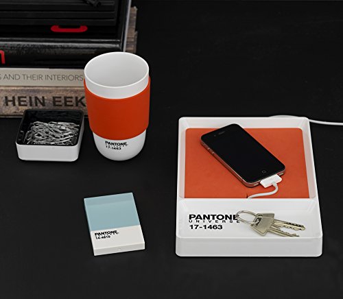 Pantone Key Tray TANGO-17-1463, One Size, Tangerine Tango