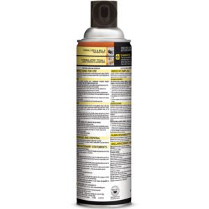 Black Flag Spider and Scorpion Killer, Aerosol, 16-oz