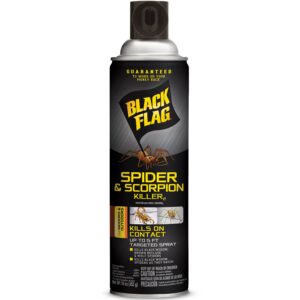 Black Flag Spider and Scorpion Killer, Aerosol, 16-oz