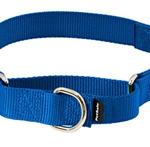 PetSafe Martingale Collar with Quick Snap Buckle, 3/4" Medium, Royal Blue