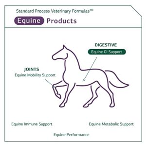 Standard Process Equine GI Support - Whole Food Horse Supplies for Digestive Health and Liver Support with Magnesium Citrate, Buckwheat, Sunflower Lecithin, Kale, Inulin, Brussels Sprouts - 30 Ounce