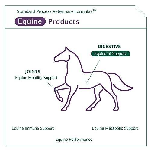 Standard Process Equine GI Support - Whole Food Horse Supplies for Digestive Health and Liver Support with Magnesium Citrate, Buckwheat, Sunflower Lecithin, Kale, Inulin, Brussels Sprouts - 30 Ounce