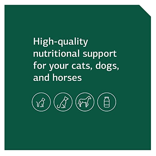 Standard Process Equine GI Support - Whole Food Horse Supplies for Digestive Health and Liver Support with Magnesium Citrate, Buckwheat, Sunflower Lecithin, Kale, Inulin, Brussels Sprouts - 30 Ounce