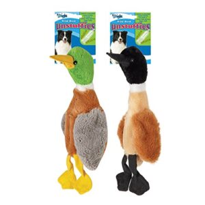 Grriggles US2001 14 16 Wild Bird Unstuffies Mallard Duck Dog Squeak Toy, Small