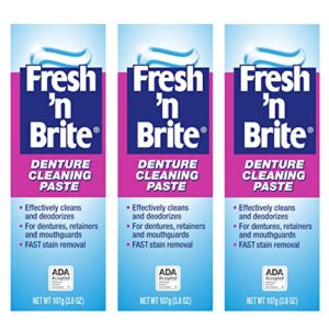 fresh 'n brite denture cleaning paste for dentures, removable partial dentures, retainers, mouthguards, nightguards, fast stain removal, pack of 3, 3.8 oz tubes