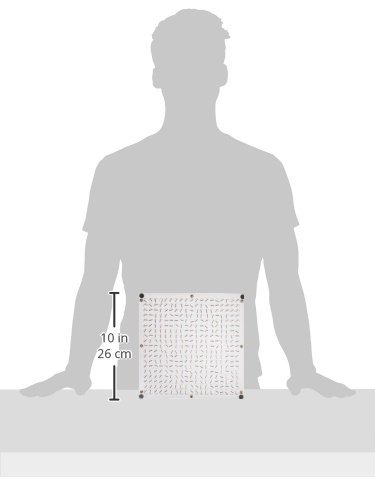 Eisco Labs Magnetic Field Demonstration Plate, Large