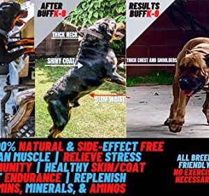 True Champion Dog 2.0 Most Complete Dog Muscle and Health Supplement, Vet & Nutritionist Developed, Safe and 100% All Natural (for Puppies & Adults), Calming, Lean Weight Gain, Dog Health