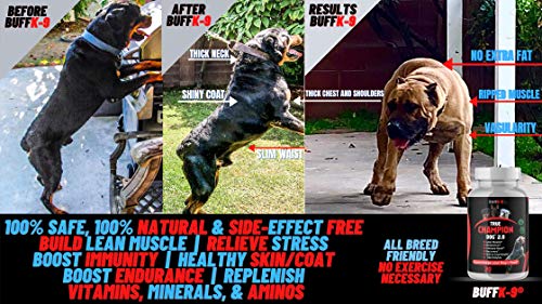 True Champion Dog 2.0 Most Complete Dog Muscle and Health Supplement, Vet & Nutritionist Developed, Safe and 100% All Natural (for Puppies & Adults), Calming, Lean Weight Gain, Dog Health