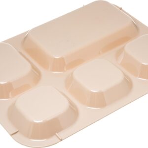 Polycarbonate 5-Compartment Tray