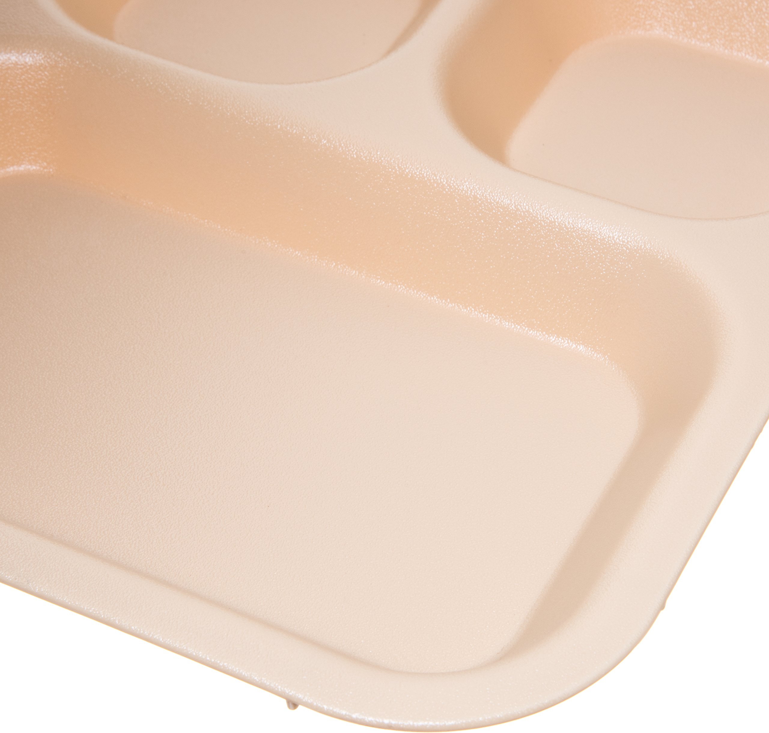 Polycarbonate 5-Compartment Tray