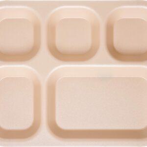 Polycarbonate 5-Compartment Tray