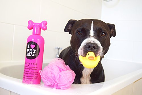 PET HEAD Life's An Itch Soothing Shampoo