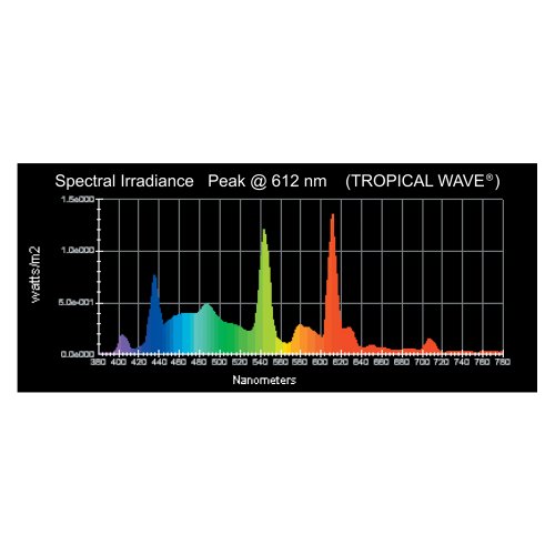 Wave Point 2-Pack Tropical Wave HO T-5 39-Watt Universal Aquarium Lamp