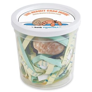 Live Pet Hermit Crab Complete Starter Kit - Shipped with 2 Live Crabs