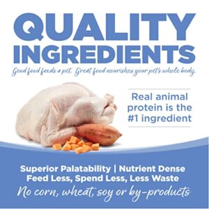 PureVita Grain Free Turkey & Sweet Potato Dry Dog Food - 25lb