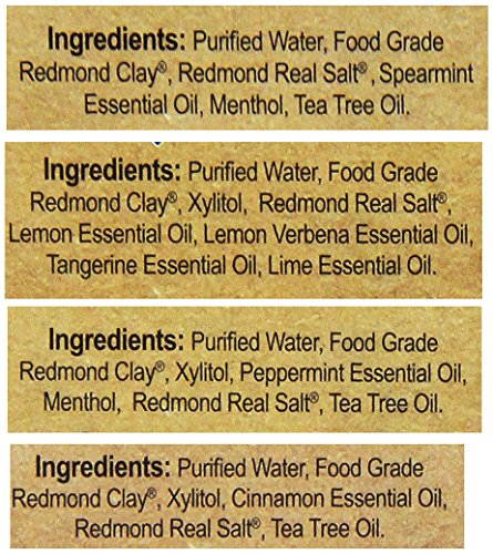 REDMOND Earthpaste All Natural Non-Fluoride Vegan Non GMO Real Ingredients Toothpaste (Variety Pack (Lemon, Wintergreen, Cinnamon, Pep)), 4 Ounce (Pack of 4)