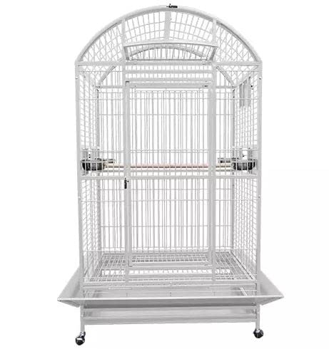 King's Cages 9004030 Parrot CAGE Dome Top Bird Cage with New Locks Toy Toys Macaws Cockatiel Parakeet (White)