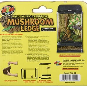 Naturalistic Terrarium Mushroom Ledge