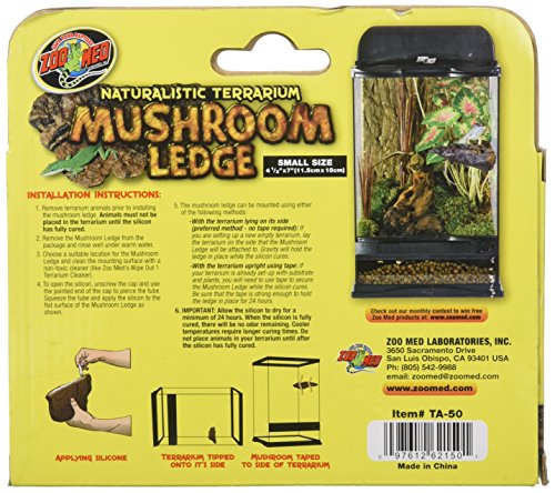 Naturalistic Terrarium Mushroom Ledge