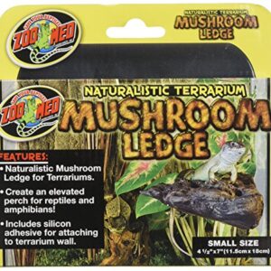 Naturalistic Terrarium Mushroom Ledge