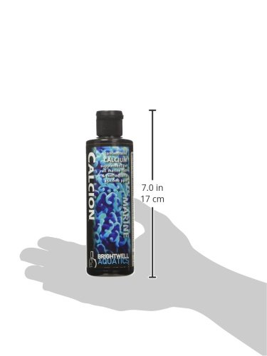 Brightwell Aquatics Calcion - Concentrated Liquid Calcium Supplement for All Marine Aquariums