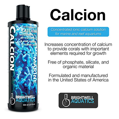 Brightwell Aquatics Calcion - Concentrated Liquid Calcium Supplement for All Marine Aquariums