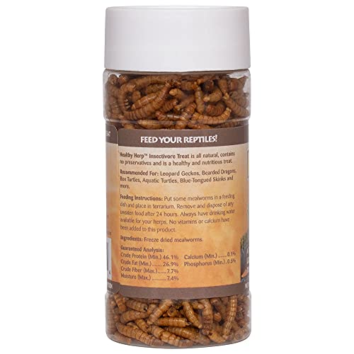 Healthy Herp Insectivore Reptile Treat Mealworms 0.95-Ounce (27 Grams) Jar