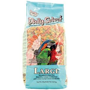 pretty bird international bpb73118 3-pound daily select premium bird food, large