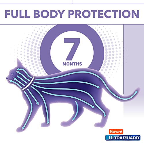 Hartz UltraGuard Purple Flea & Tick Collar for Cats and Kittens - 7 Month Protection