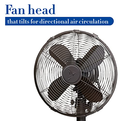 Deco Breeze DecoBreeze DBF0610 Rustic Table Fan from Fir Bark collection in Bronze/Dark finish, 9.00 inches, 10 Inch