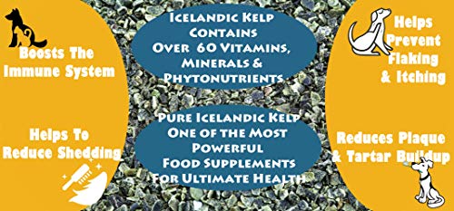 Icelandic Kelp Meal, 5lbs